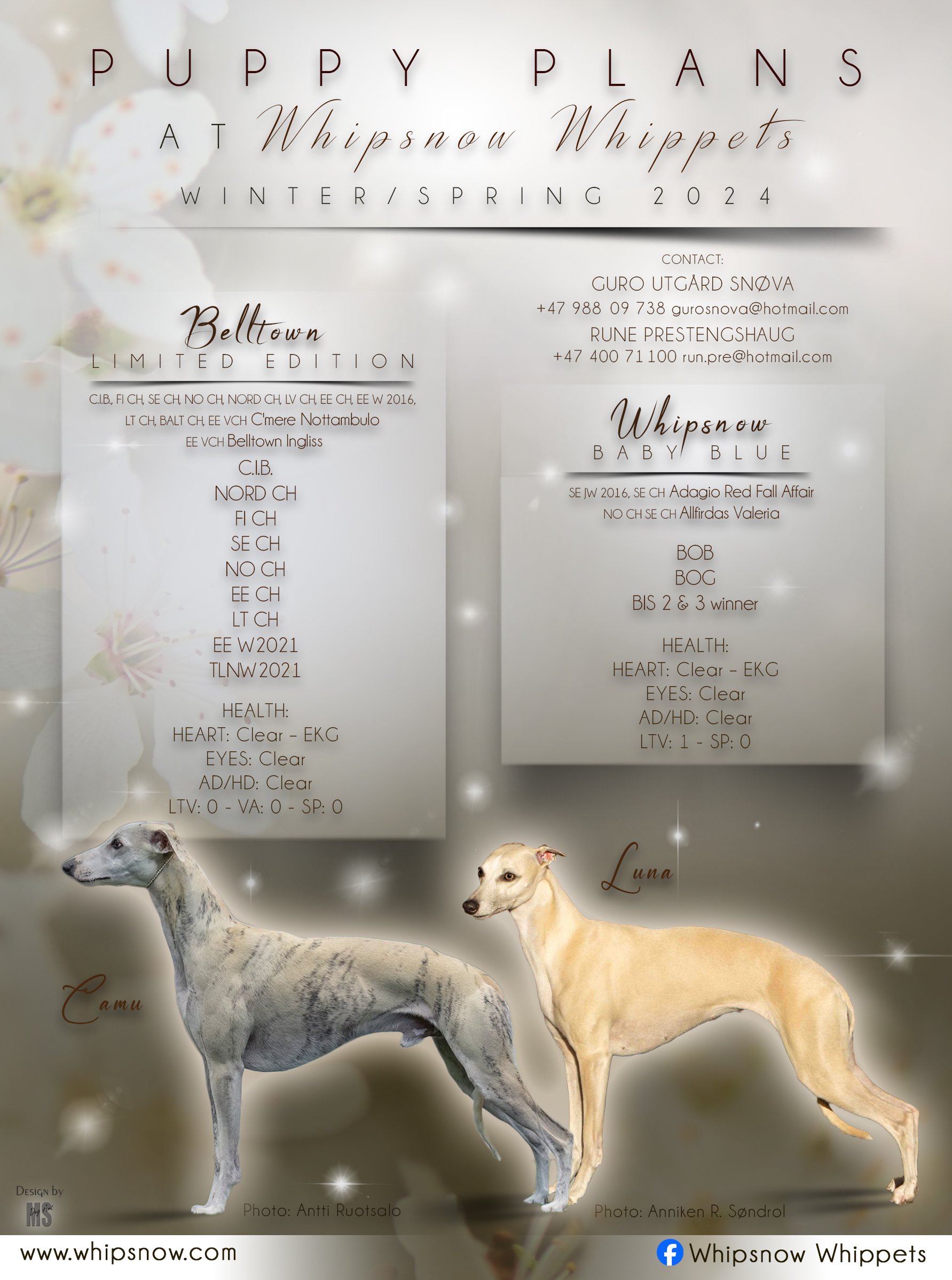 Plans / Planer – WhipSnow Whippets